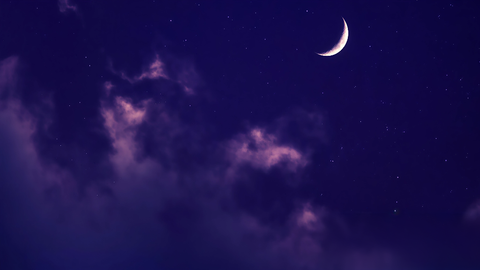 The Tower | Script Keyless Test version — Roblox Scripts | ScriptBlox