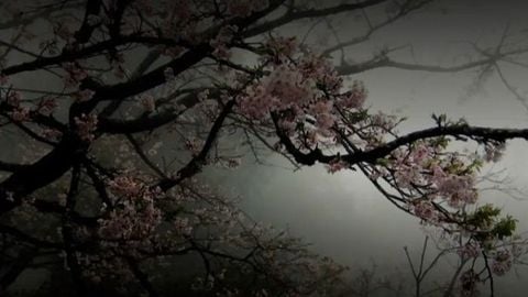 Universal Script 📌 | DOWN HUB 160 GAMES — Roblox Scripts | ScriptBlox