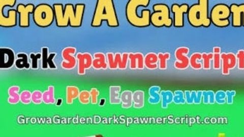 Universal Script 📌 | RTX High — Roblox Scripts | ScriptBlox