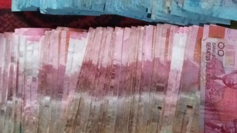 Universal Script 📌 | run — Roblox Scripts | ScriptBlox