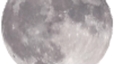 Universal Script 📌 | Highlight all players made by Google ai — Roblox Scripts | ScriptBlox