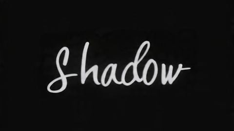 Universal Script 📌 | Universal Shadow Fly — Roblox Scripts | ScriptBlox