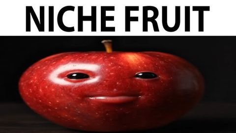 Universal Script 📌 | Loop Speed Hub — Roblox Scripts | ScriptBlox