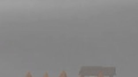 Universal Script 📌 | 99 nights — Roblox Scripts | ScriptBlox