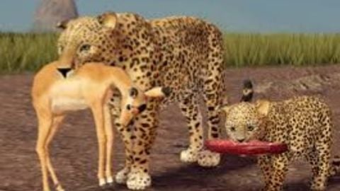 Universal Script 📌 | dead rails skull hub — Roblox Scripts | ScriptBlox