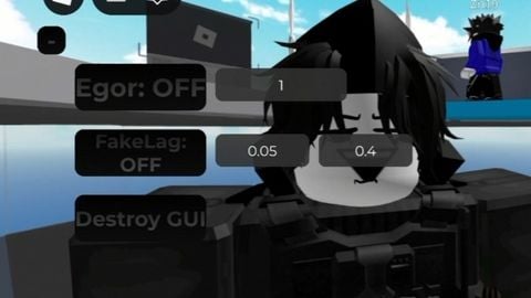 Universal Script 📌 | Fe fling all — Roblox Scripts | ScriptBlox