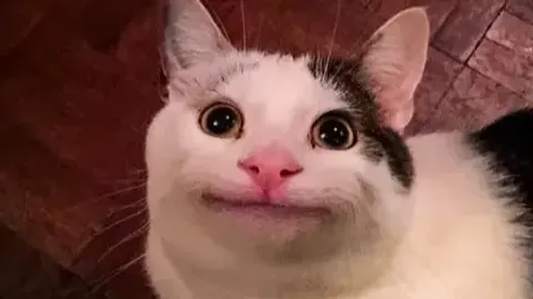 Universal Script 📌 | azure modded aim viewer — Roblox Scripts | ScriptBlox