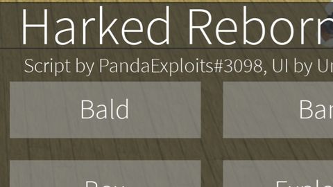 Universal Script 📌 | touch fling script by skondo — Roblox Scripts | ScriptBlox