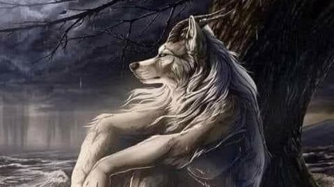 Universal Script 📌 | Gazer FE Animation Editor — Roblox Scripts | ScriptBlox