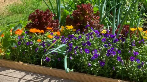 The Rake REMASTERED | Project hub — Roblox Scripts | ScriptBlox