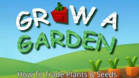 Universal Script 📌 | reIax's Trigger Bot Safe Team Check — Roblox Scripts | ScriptBlox