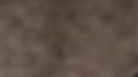 Universal Script 📌 | Low GFX — Roblox Scripts | ScriptBlox