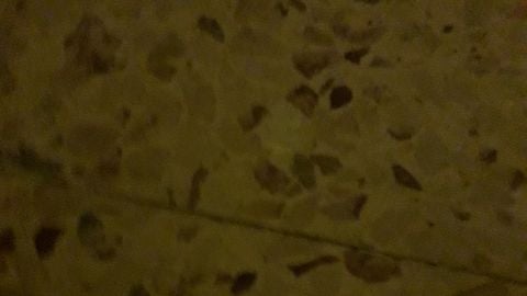 Universal Script 📌 | AK47 Script made by ChatGPT — Roblox Scripts | ScriptBlox