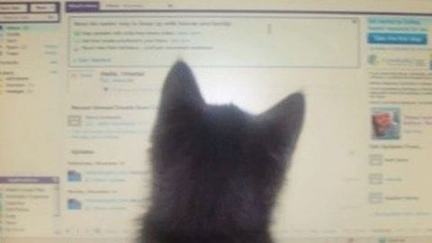 Universal Script 📌 | Tools giver l — Roblox Scripts | ScriptBlox