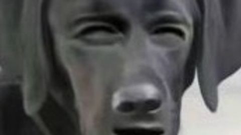 [🏍️] Steal a Ride | Simple Script — Roblox Scripts | ScriptBlox