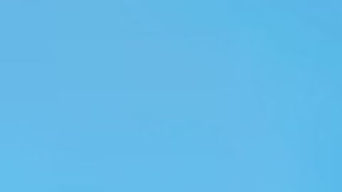 Universal Script 📌 | Stream Sniper FULLY OPEN SOURCE — Roblox Scripts | ScriptBlox