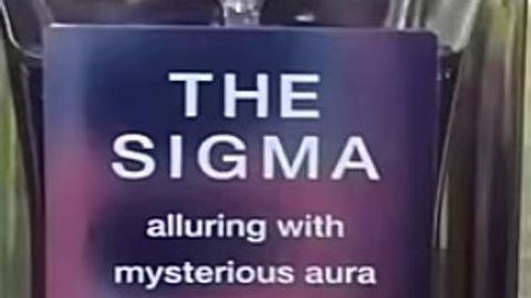 Universal Script 📌 | Aimlock GUI works with solara — Roblox Scripts ...