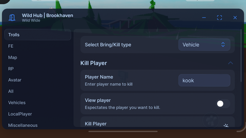 Universal Script 📌 | FPS BOOST SCRIPT — Roblox Scripts | ScriptBlox