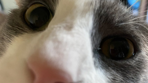 Universal Script 📌 | FE Punch Filling By SumitScripts — Roblox Scripts | ScriptBlox