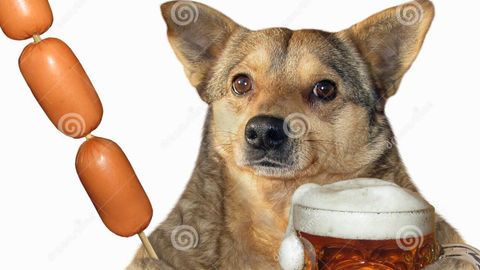 Universal Script 📌 | Old server finder — Roblox Scripts | ScriptBlox