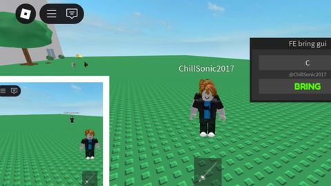 Universal Script 📌 | FE bring player — Roblox Scripts | ScriptBlox