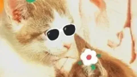 Universal Script 📌 | ECCS Searcher V27 — Roblox Scripts | ScriptBlox