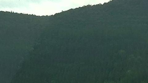 Universal Script 📌 | Epic ServerSide(Public version) — Roblox Scripts | ScriptBlox