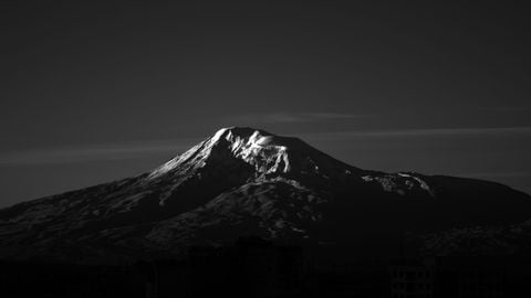 Universal Script 📌 | Arceus x script — Roblox Scripts | ScriptBlox