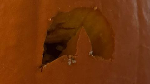 Universal Script 📌 | ASCII api script api was not by me — Roblox Scripts | ScriptBlox