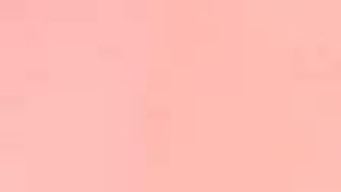 Universal Script 📌 | Shadow Hub — Roblox Scripts | ScriptBlox