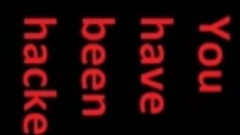 Blox Fruits | ZEN HUB — Roblox Scripts | ScriptBlox