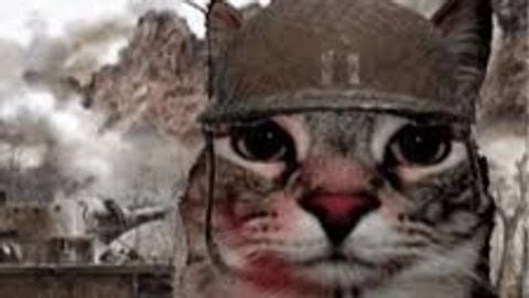 [HALLOWEEN] Project Baki 4 | Templo hub — Roblox Scripts | ScriptBlox