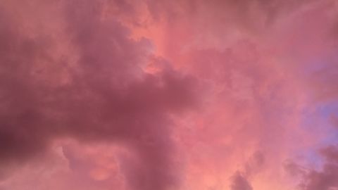 Universal Script 📌 | Mod menu — Roblox Scripts | ScriptBlox