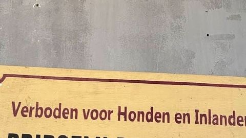 Universal Script 📌 | c00lgui reborn by 007n7 — Roblox Scripts | ScriptBlox