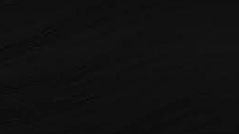 Universal Script 📌 | invisible — Roblox Scripts | ScriptBlox