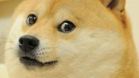 Universal Script 📌 | R15 Animations — Roblox Scripts | ScriptBlox