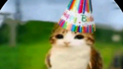 Universal Script 📌 | SorinHub Script Library — Roblox Scripts | ScriptBlox