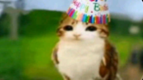 Universal Script 📌 | Solar Hub 500 games — Roblox Scripts | ScriptBlox