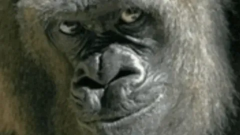 Universal Script 📌 | Universal godmode or inf health — Roblox Scripts ...