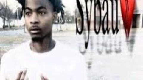 Universal Script 📌 | Plants v BrainRot Hub — Roblox Scripts | ScriptBlox