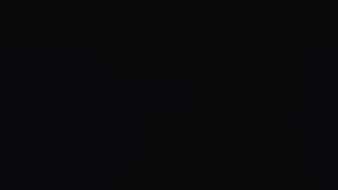 Universal Script 📌 | PVB PLANTS REPLICATOR SCRIPT — Roblox Scripts | ScriptBlox