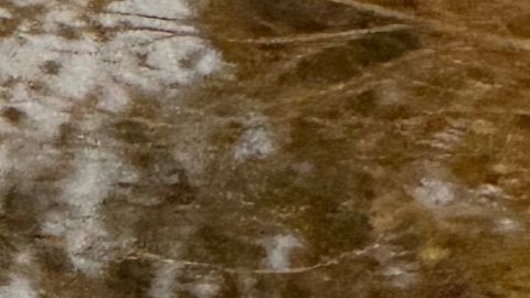 Universal Script 📌 | script of sab — Roblox Scripts | ScriptBlox