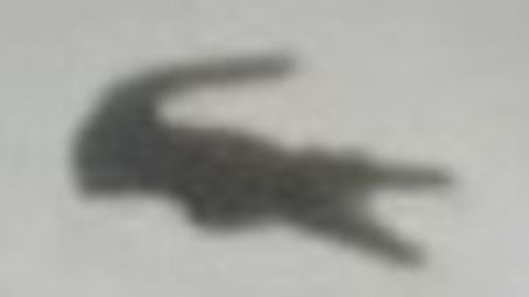 Universal Script 📌 | DUPE BRAINROTS — Roblox Scripts | ScriptBlox