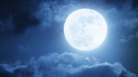 Universal Script 📌 | SAB S*ER — Roblox Scripts | ScriptBlox