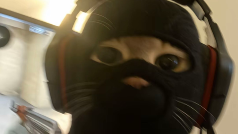 Universal Script 📌 | trax hub — Roblox Scripts | ScriptBlox