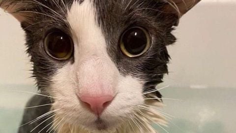 Universal Script 📌 | make the ground fall NOT FE — Roblox Scripts | ScriptBlox