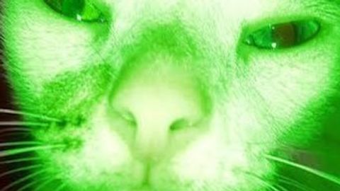 Universal Script 📌 | AUTO MOREIRA METHOD 1 NO LOADING SCREEN — Roblox Scripts | ScriptBlox