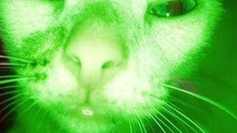 Universal Script 📌 | SCRIPT AUTO MOREIRA — Roblox Scripts | ScriptBlox