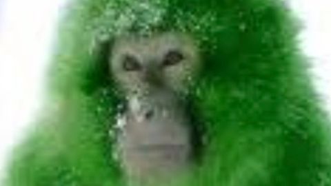 [🏆] Tower Defense Simulator | Auto Money Hardcore Gems Farm Space Hub ...