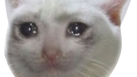 Universal Script 📌 | skybox — Roblox Scripts | ScriptBlox